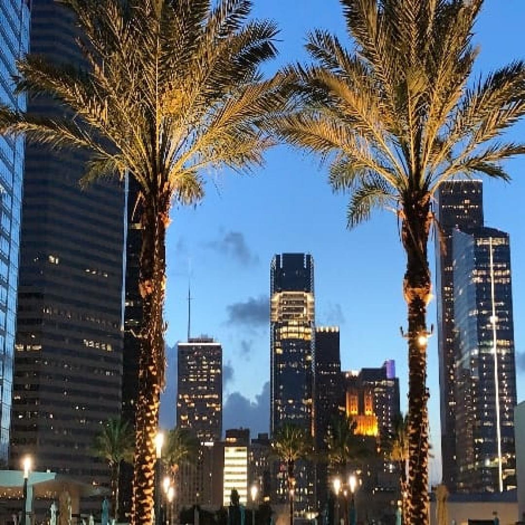 Houston Food Tour - Secret Food Tours